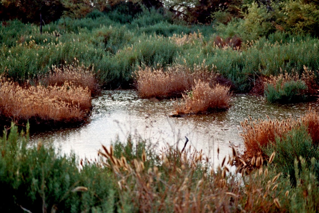 Das Naturschutzgebiet bei Paralia Astros (Peloponnes/Griechenland) | A ...